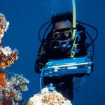 FluorPen FP 110 y PAR-FluorPen FP 110-LM - Ambimet Instrumentación