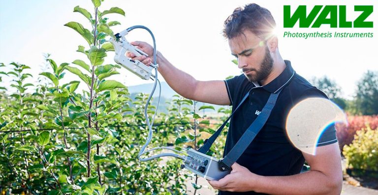 Nuevo Fluorómetro/Porómetro de WALZ - Mini PAM II/Porometer - Ambimet ...