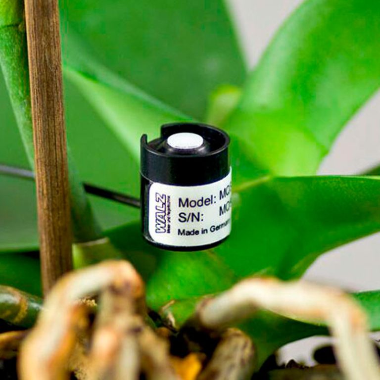 Sensor PAR Walz (Radiación Fotosintéticamente Activa) - Ambimet ...