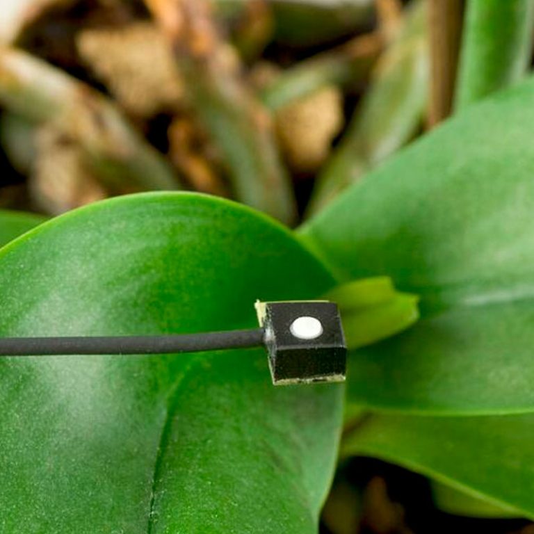 Sensor PAR Walz (Radiación Fotosintéticamente Activa) - Ambimet ...